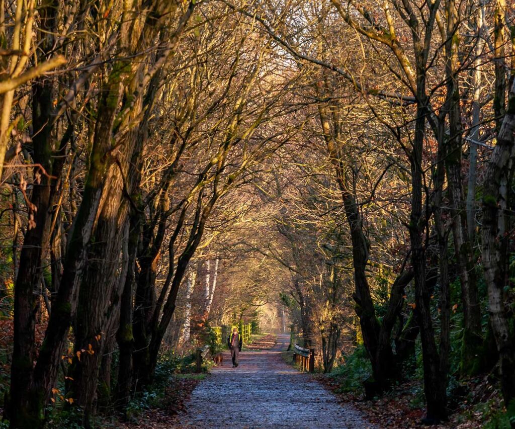 The Meltham Way - Happy Hiking Everyone | Vogue Homes